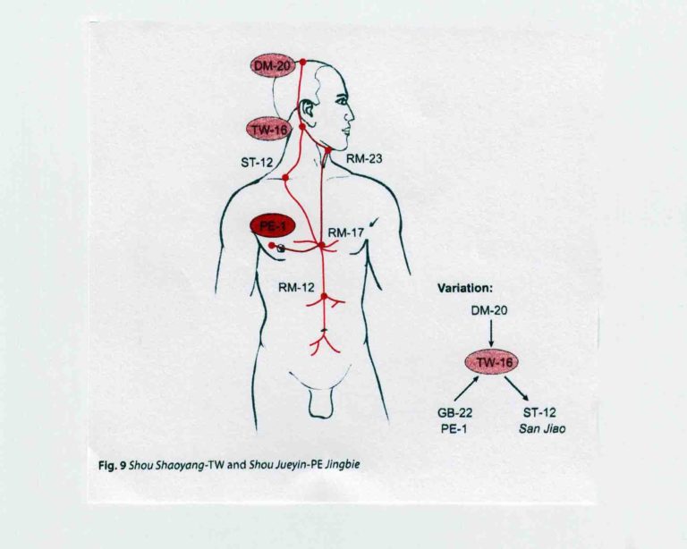 The 3-Level Acupuncture Balance: Part 4 – More on the Divergent Channel ...